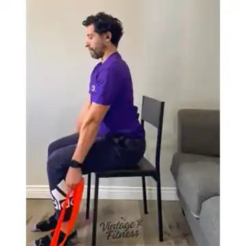 Chair Exercises for Seniors | Core & Back Strength at Home